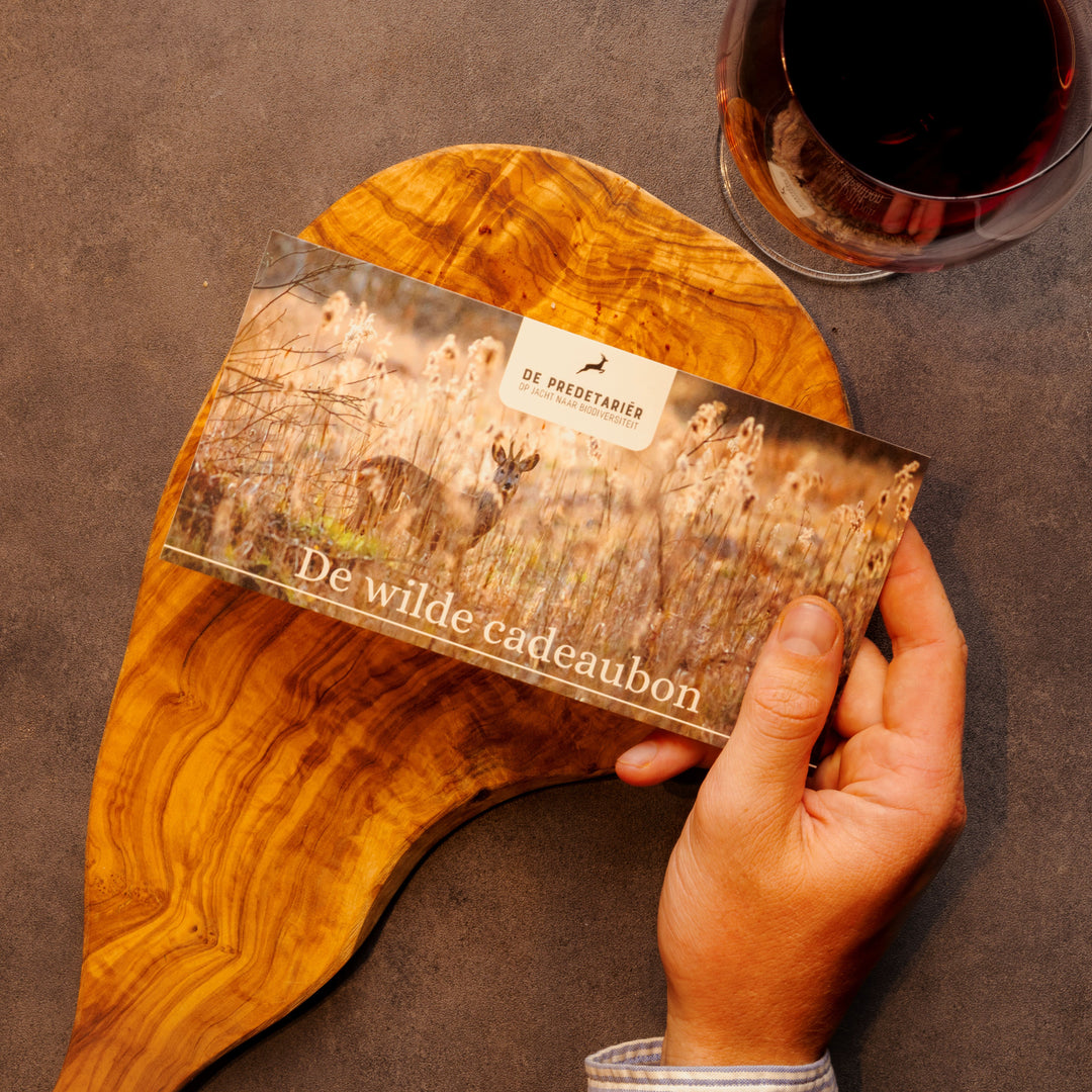 The Wild Gift Voucher – De Predetariër